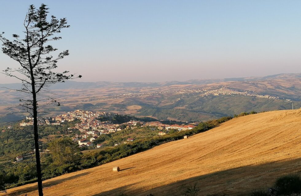 IL PAESE CHE VORREI: NUOVE VISIONI URBANE PER L’ANTICO BORGO DI ...